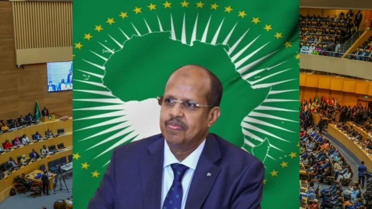 New African Union leader elected as two major crises rage. - Hiiraanweyn